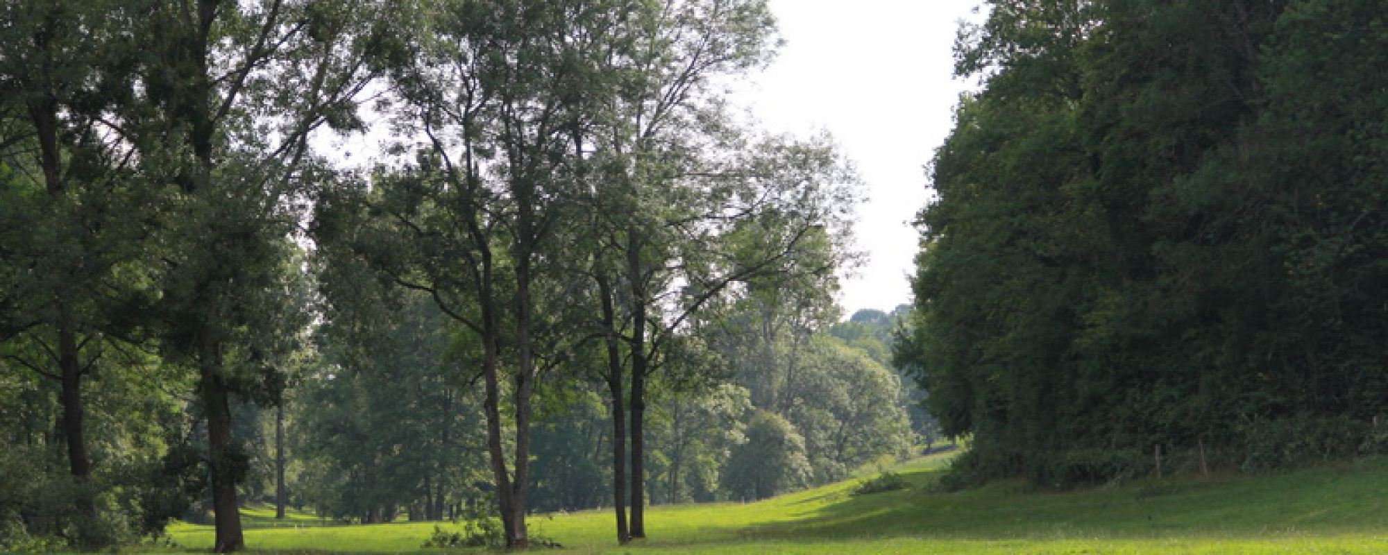 La vallée du Brénon – Ognéville